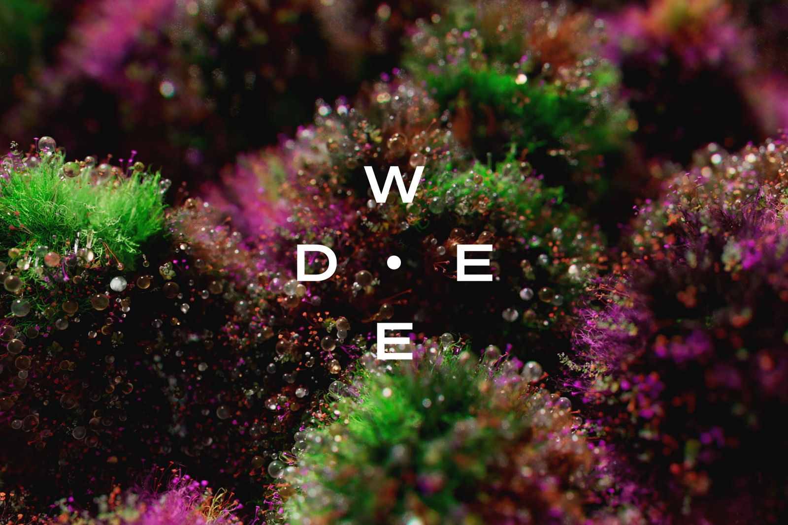 Beyond Nine – That Thing