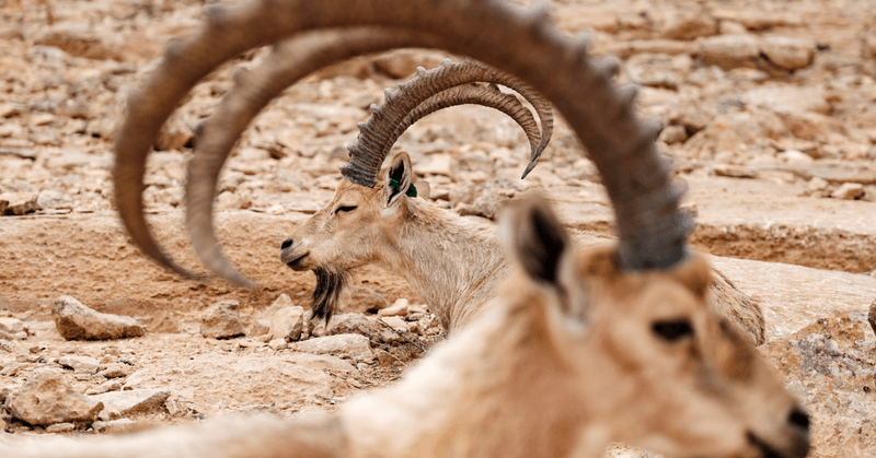 Hydrogen Peroxide for Erectile Dysfunction | Happy Urology