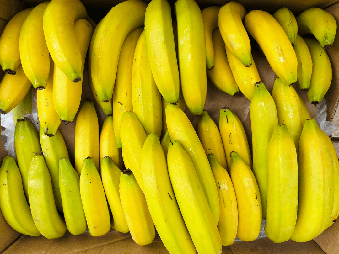 Wonky Box has Gone Bananas