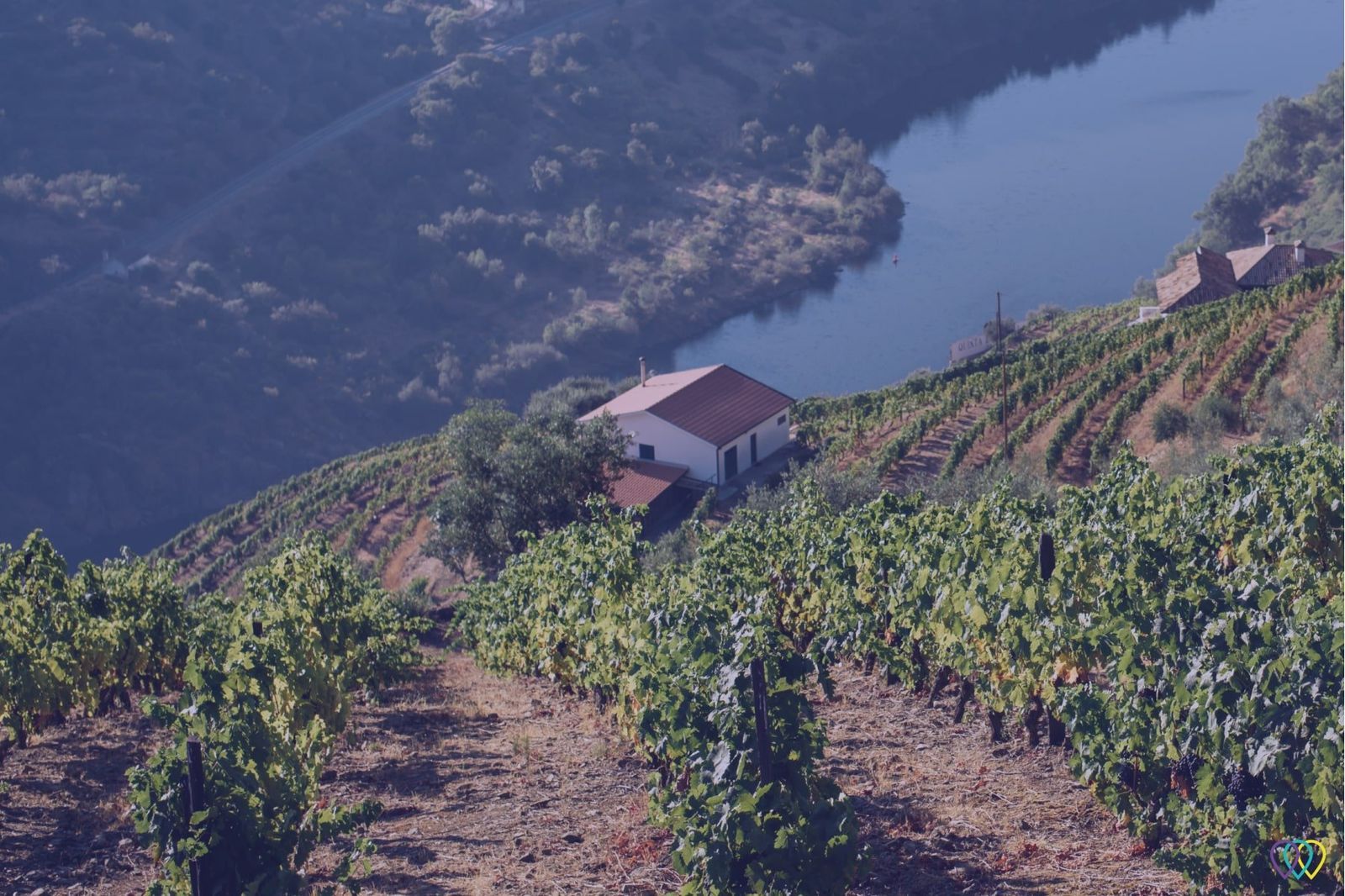 A Comprehensive Guide to Community Mapping for Planning