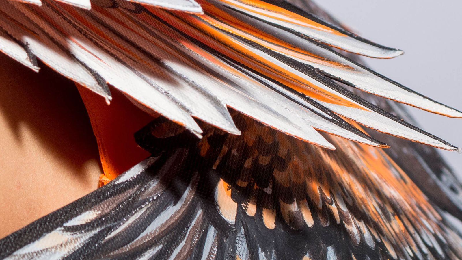 Andromeda, Cecilio Castrillo, Spain | WOW