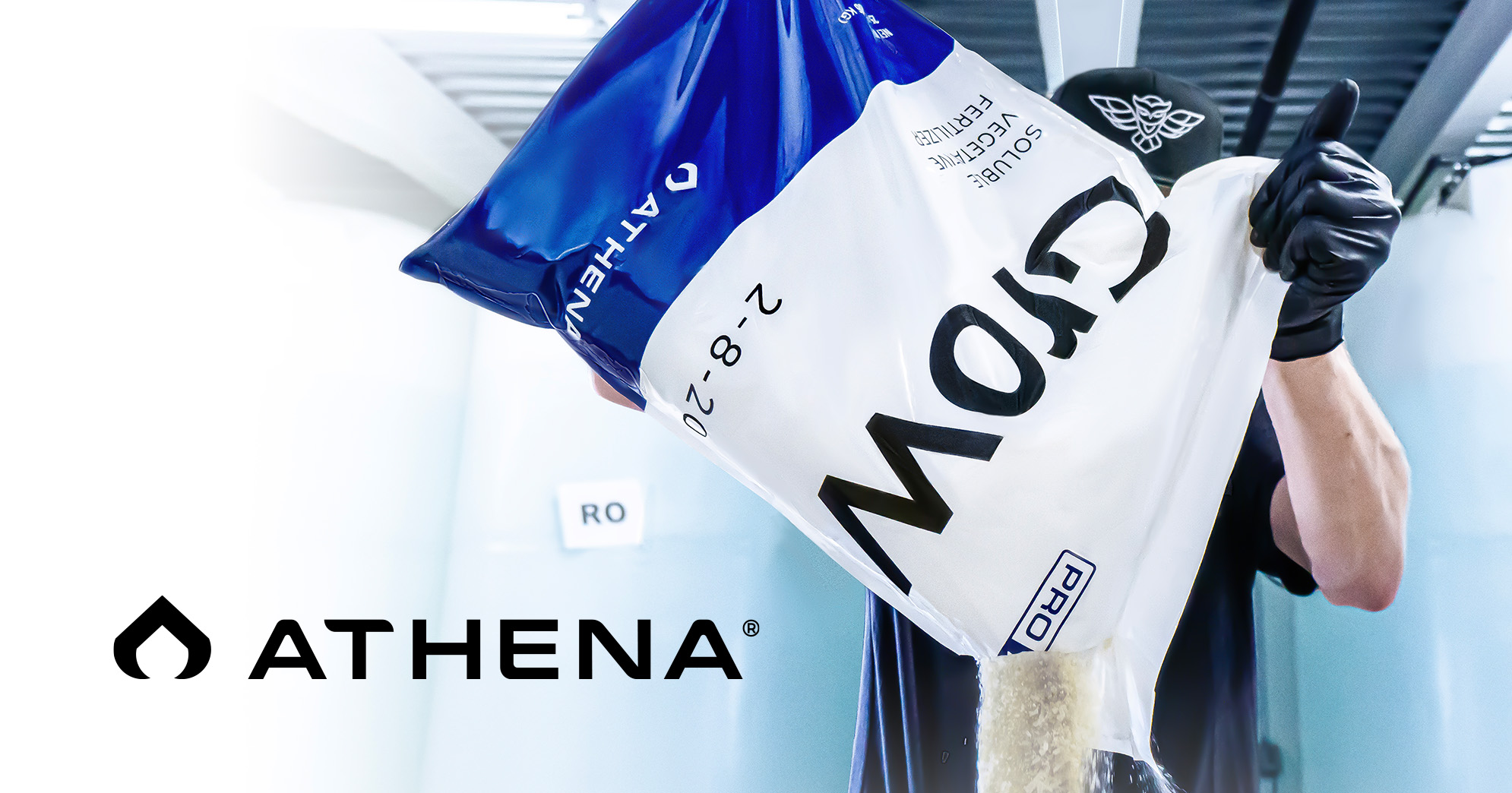 Athena | The Perfect Run