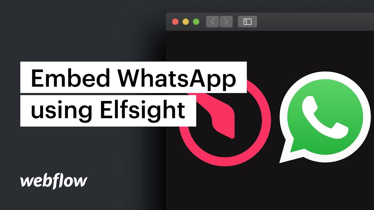 Embed WhatsApp using Elfsight - Webflow University
