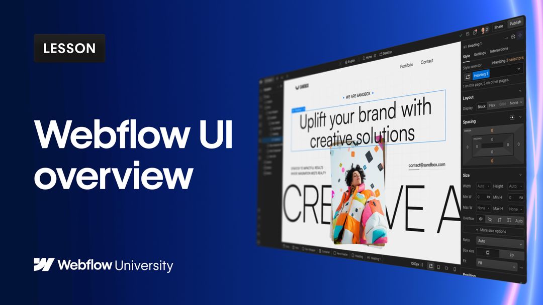 Webflow University Videos