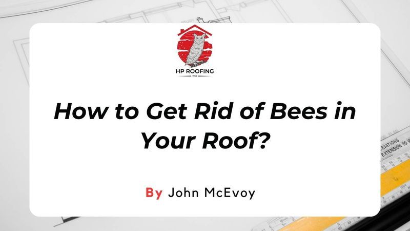 How to Get Rid of Bees on Your Roof: Best Removal Methods