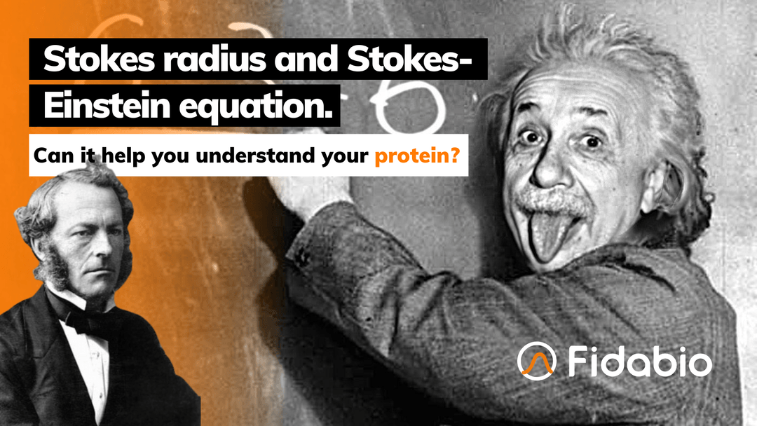 Stokes Radius and Stokes-Einstein Equation | Fidabio