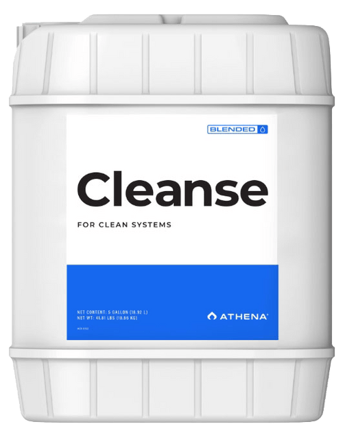 Athena | The Perfect Run