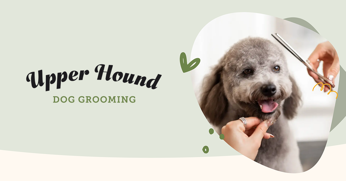Dog Grooming Services for Fleet & Surrounding Areas | Upper Hound ...