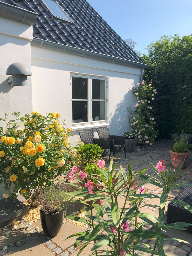 Baboon City | FerieDanmark