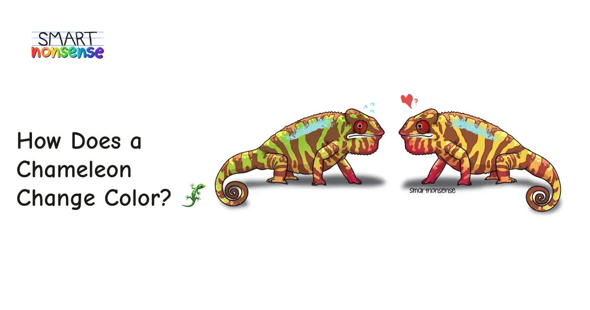 How Does a Chameleon Change Color? 🦎