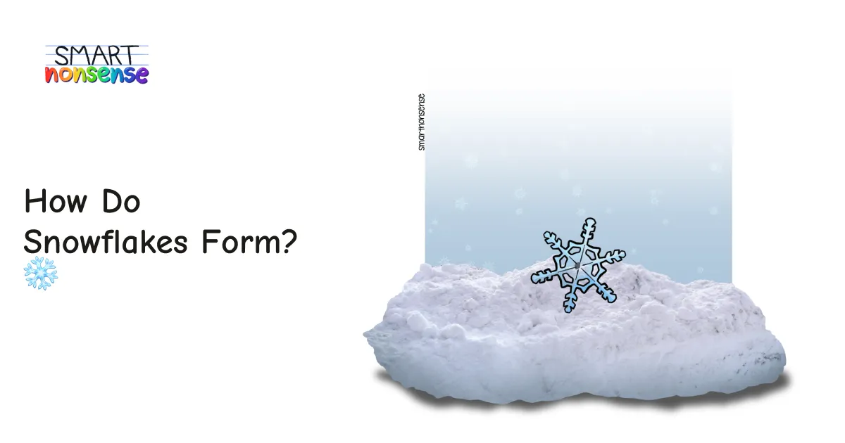 How Do Snowflakes Form? ️