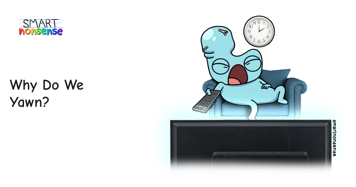 Why Do We Yawn?