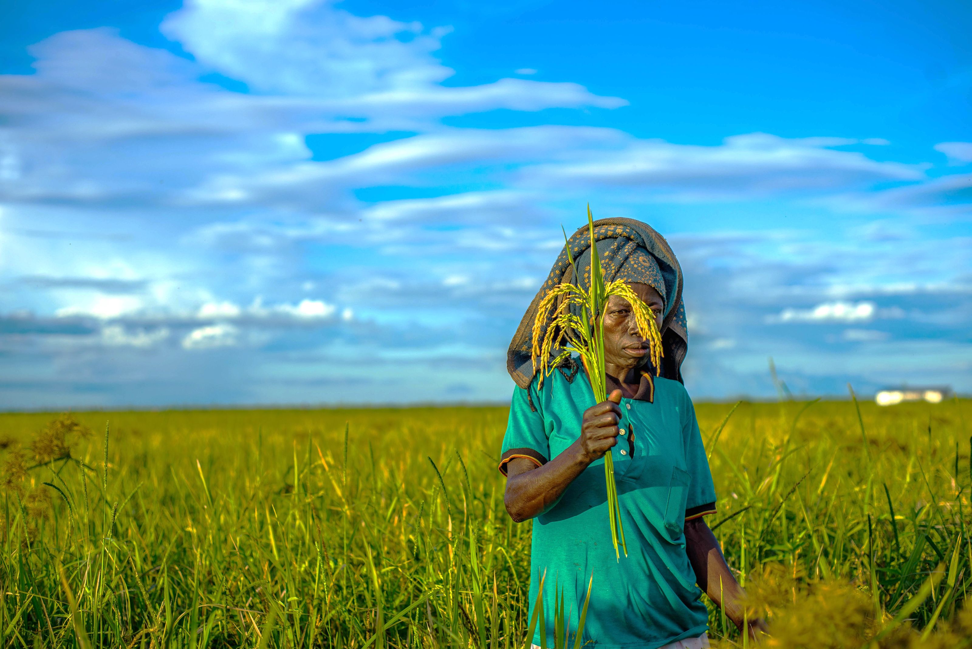 Rikolto in East Africa