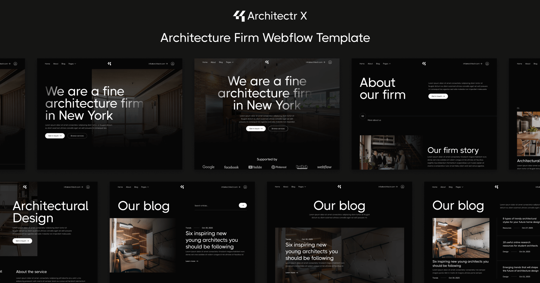 Lorenzo Bizzi - Home