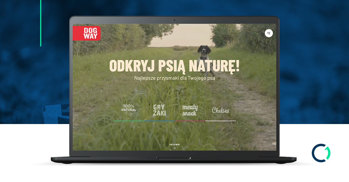 Website for the manufacturer of dog treats DogWay - Case Study