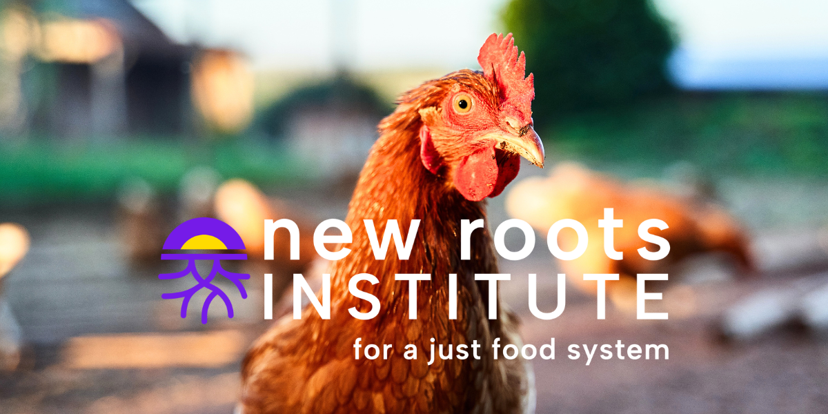 About New Roots | New Roots Institute