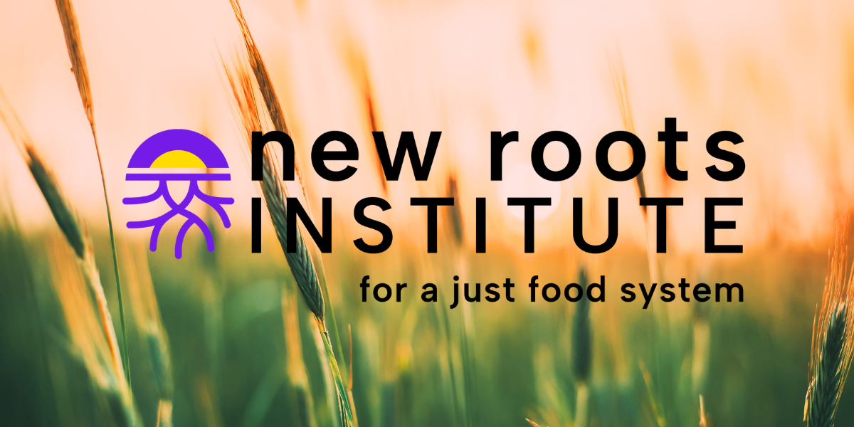 Our Rebrand | New Roots Institute