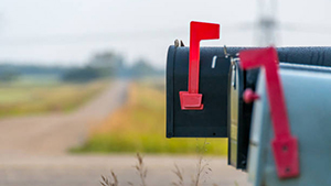 Participant Updates: PIN Mailer Notice