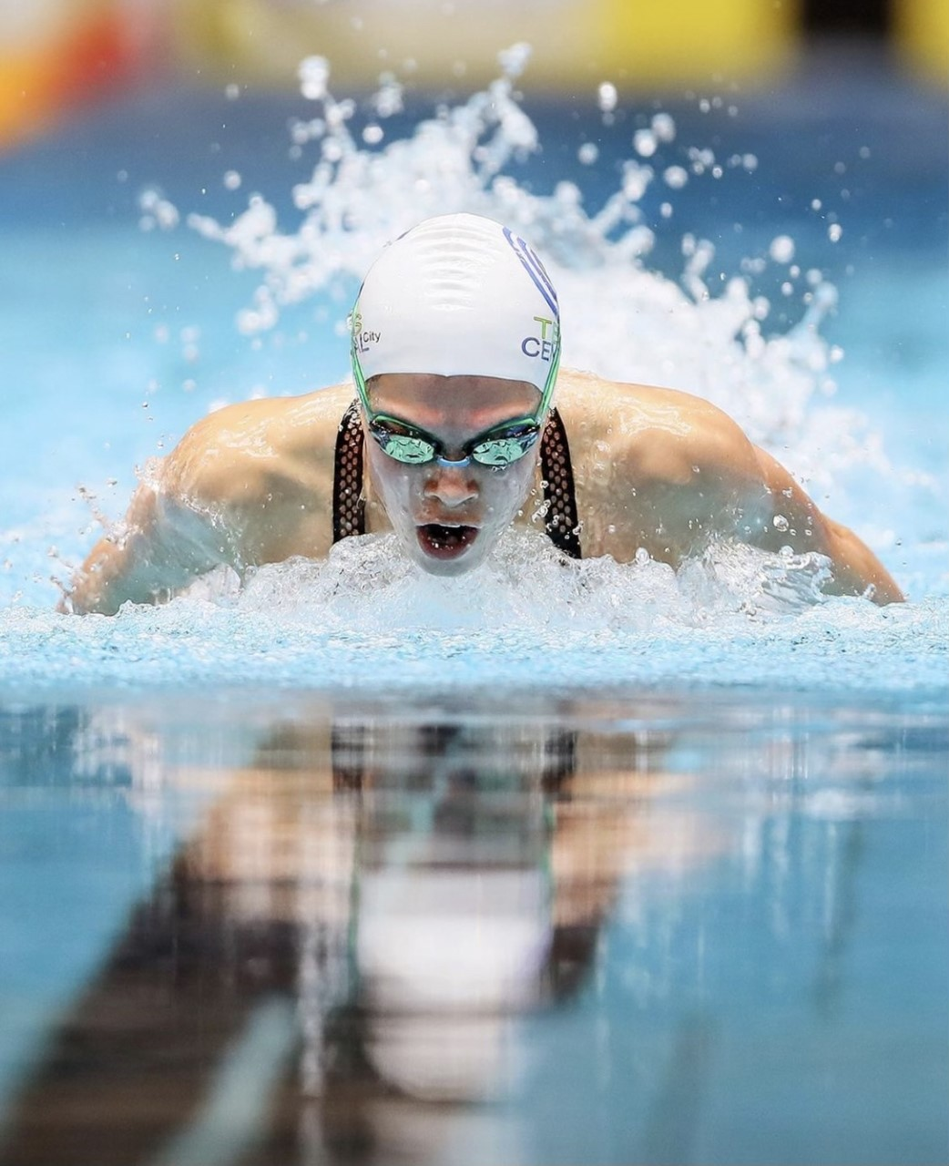 Swimming Auckland - Welcome