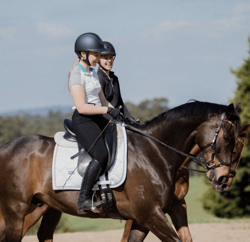 Equilab - The Best Horse Riding App for Equestrians