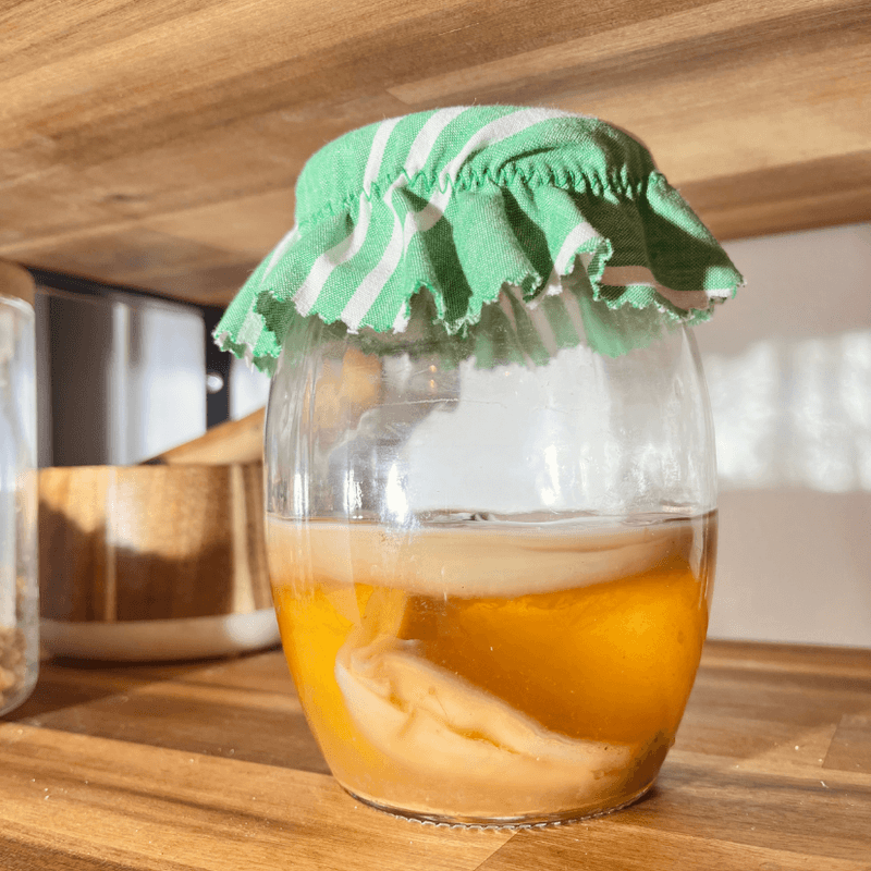 Faire son Kombucha maison - Mama Kombucha