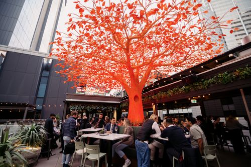 The Best Rooftop Bar In Perth's CBD - Bob's Bar
