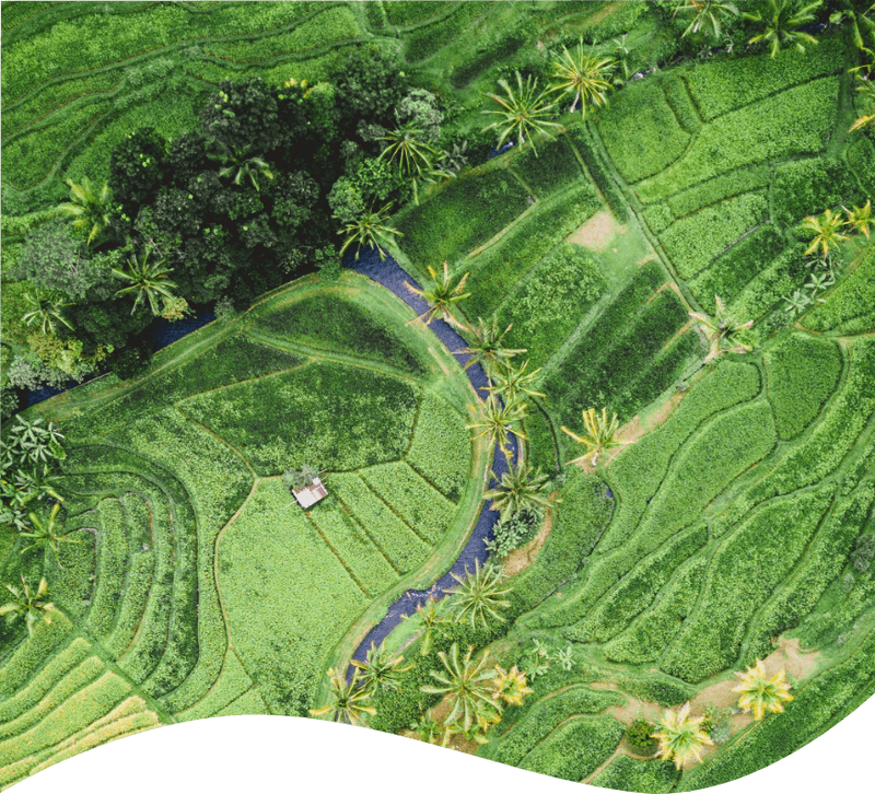 GSP Crop Science Limited: Innovating Agriculture with Cutting-Edge ...