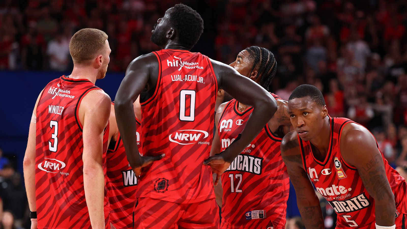 National Basketball League | NBL Australia | Australia's Basketball League