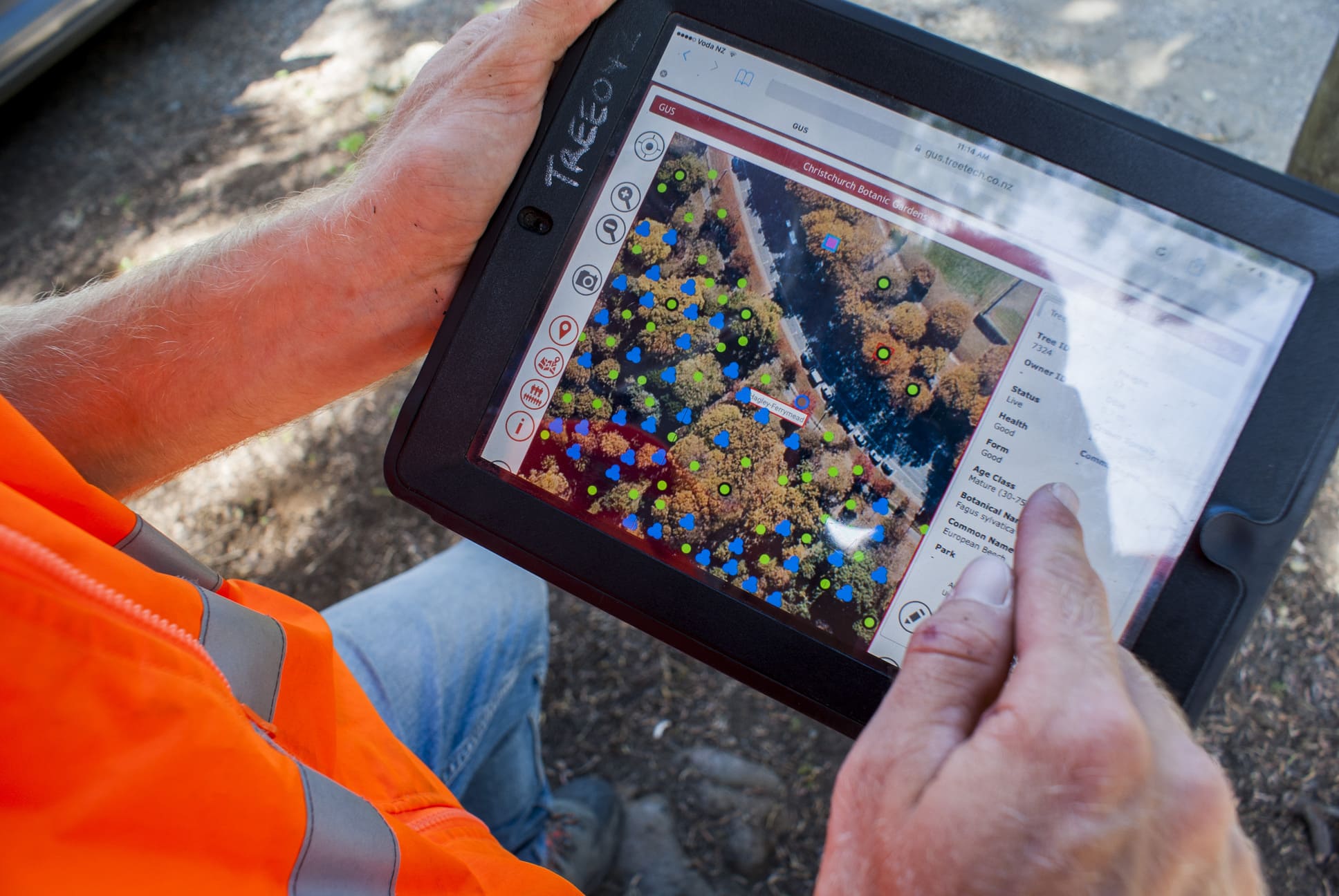 Treetech | Careers | Consultant Arborist