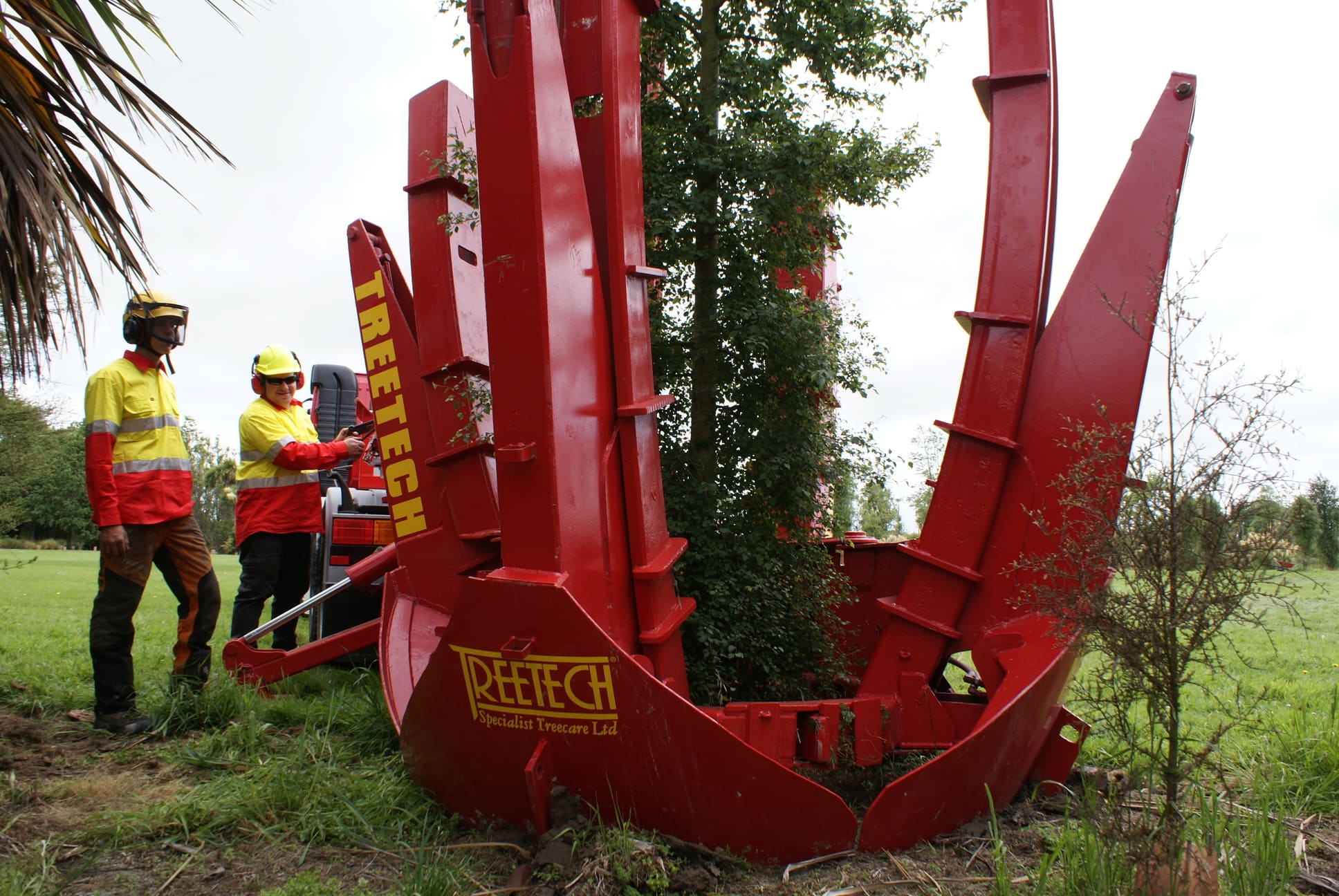 Tree Transplantation | Planting Services | Treetech