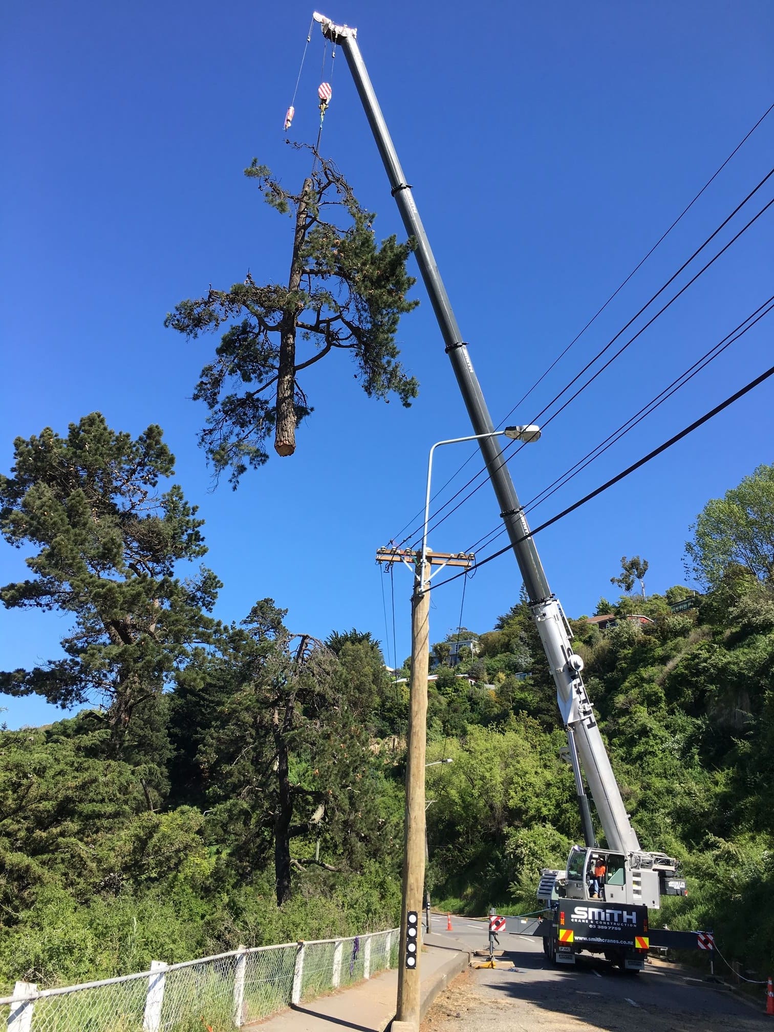 Road and powerline safety | Commercial Services | Treetech