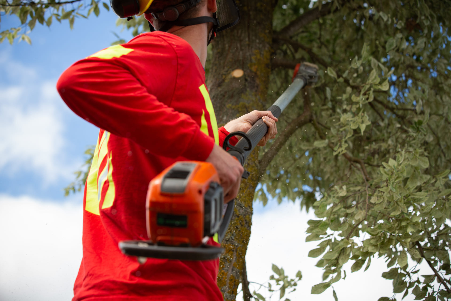 Treetech | Christchurch Arborists & Treecare