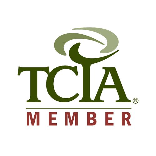 Green Giants: New Zealand’s most famous trees | Blog | Treetech