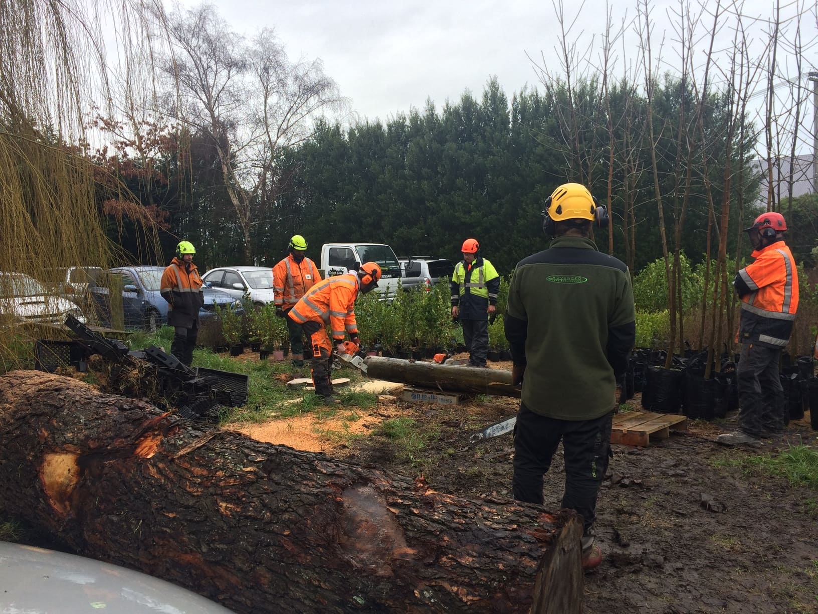 Working At Treetech | Stay Up To Date | Treetech