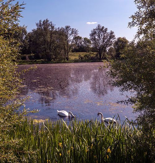 Abbots Ripton Estate | Visiting