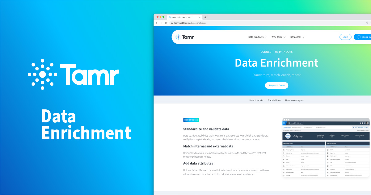 Data Enrichment | Tamr