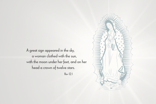 The Miraculous Story of Our Lady of Guadalupe - St. Catherine of Siena ...