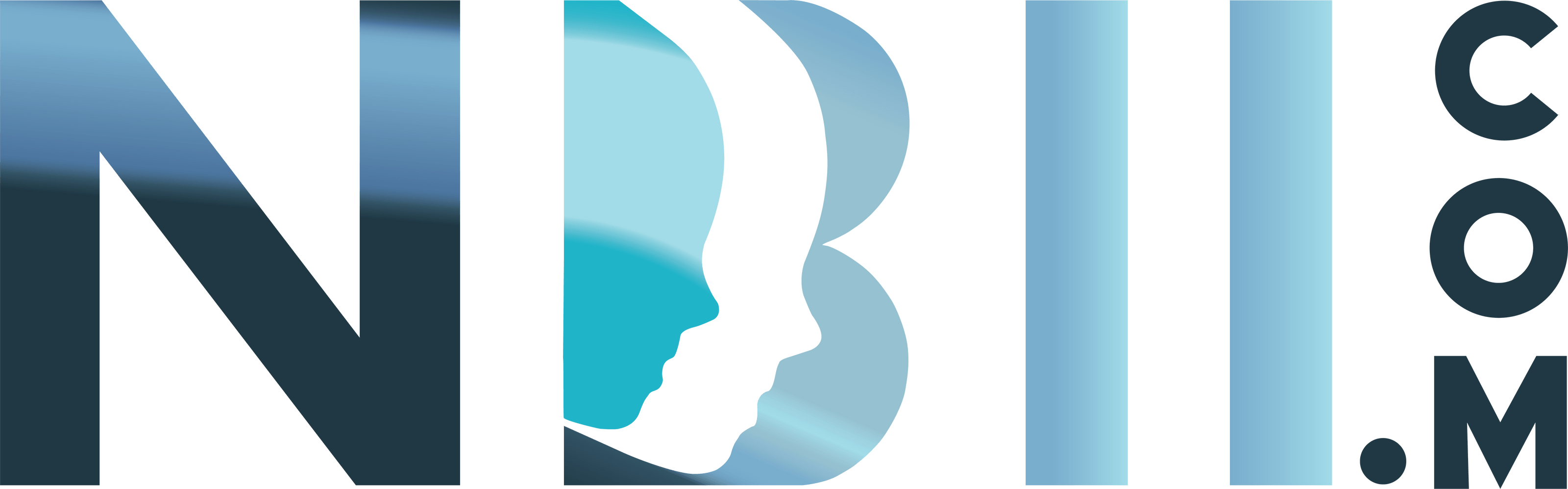 National Brain Injury Institute (NBII)