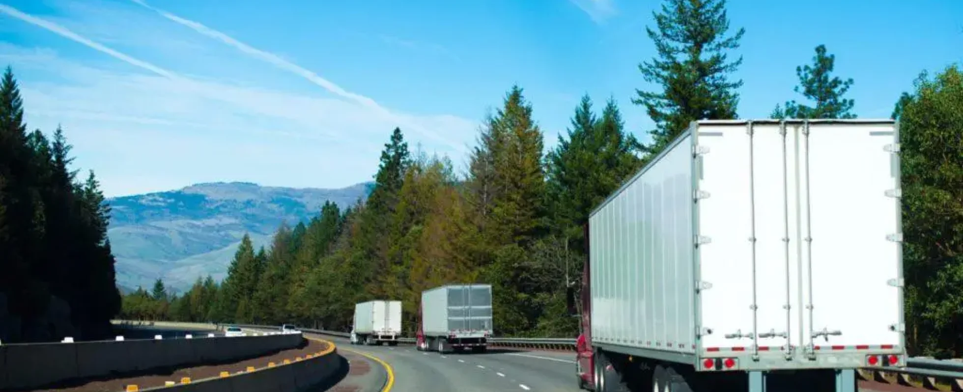 Long Distance Moving Company - Cross Country Movers 🌵 Cactus Moving