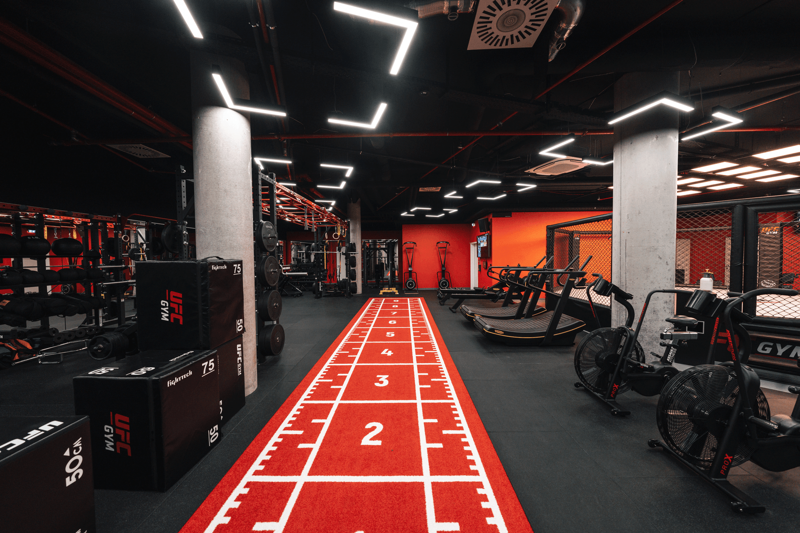 UFC GYM - Germany