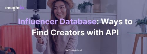 Influencer Database: Ways to Find Creators with API | insightIQ