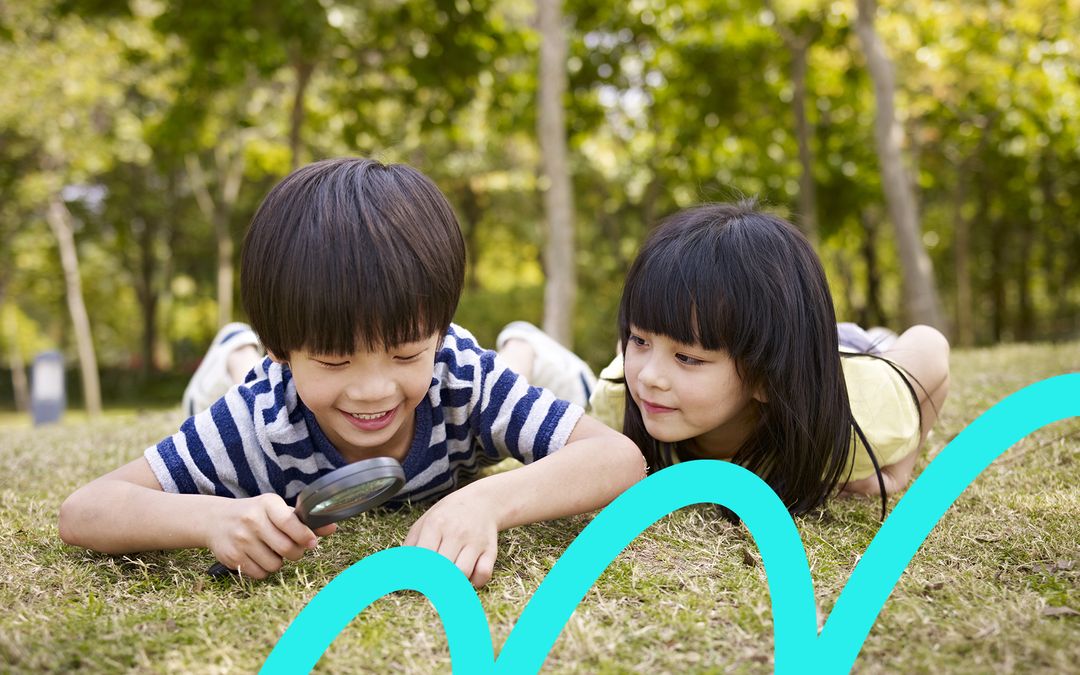 Types of Twin and Triplet Pregnancies