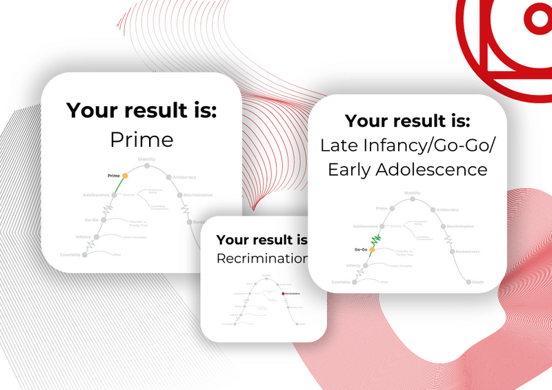 Adizes Organizational Lifecycle