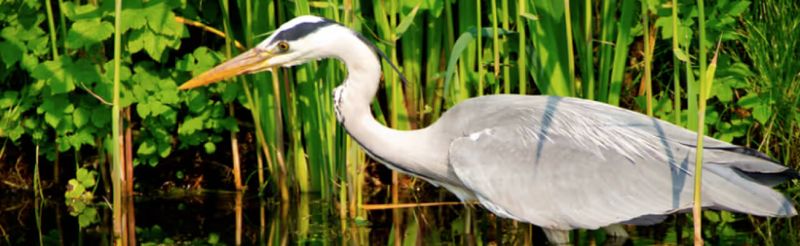 Front Range Landfill