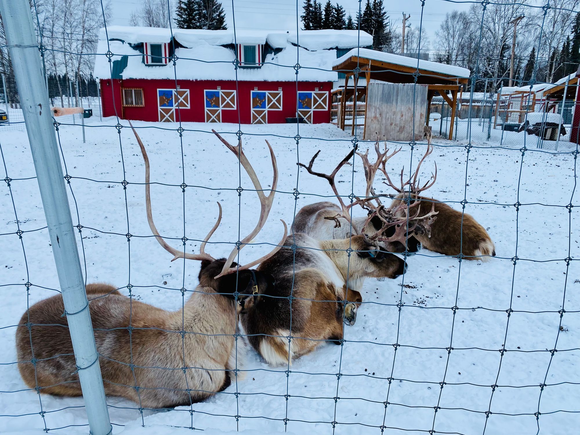 Meet Santa Claus at the North Pole Alaska