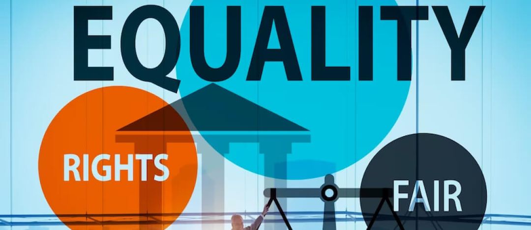 Equity vs. Shares: Understanding the Key Differences