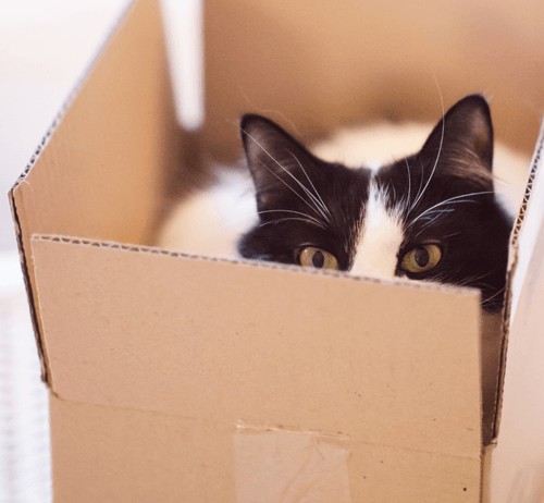 Extend Shipping Protection | What is Shipping Coverage?