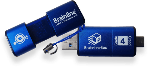 SA's Most Trusted Online School - Brainline
