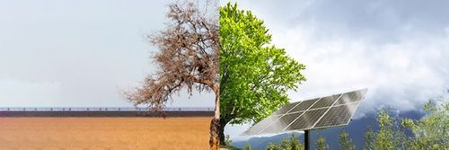 How Solar Power Affects the Environment