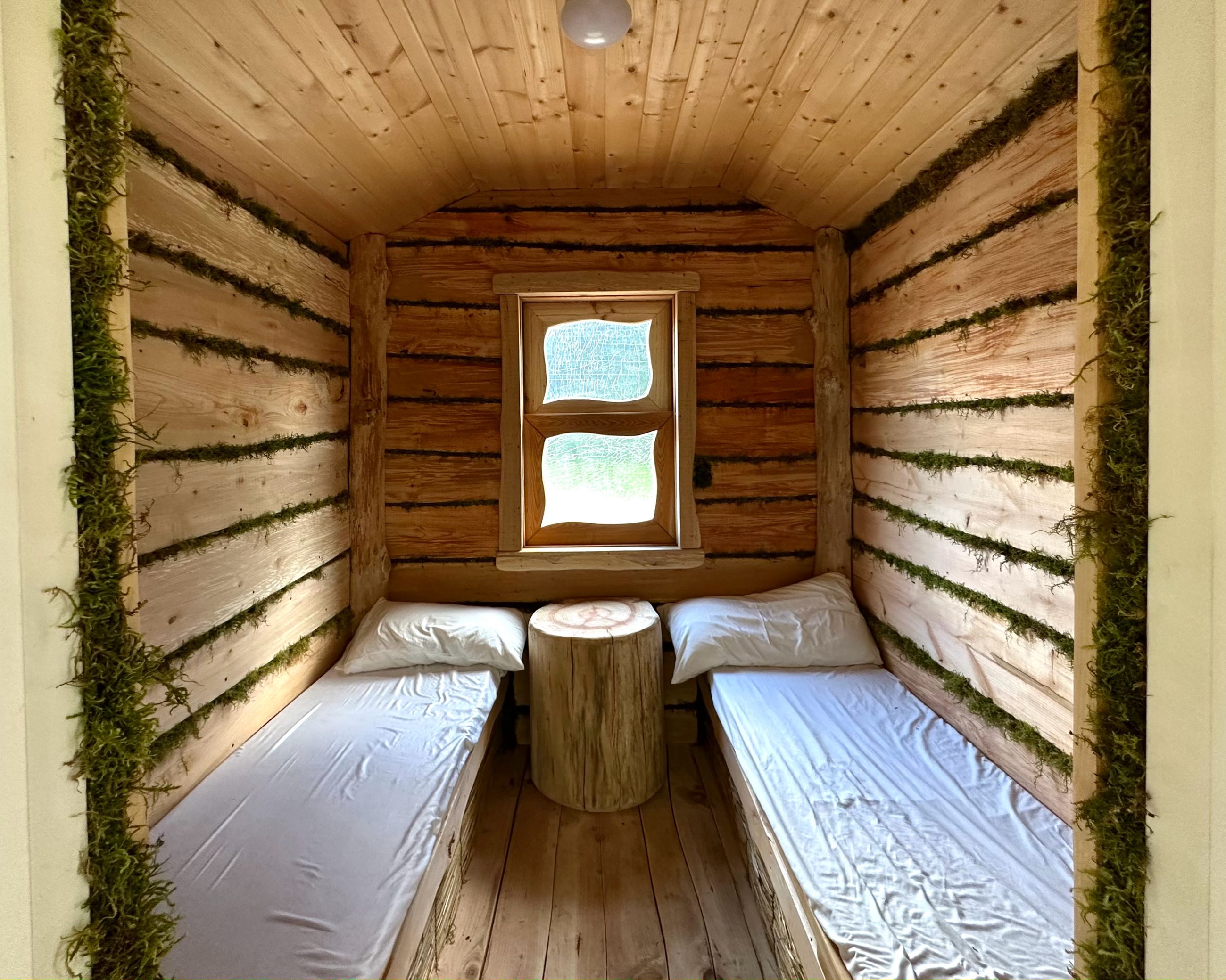 Bee Therapy - Unique Experience at Paradise Village